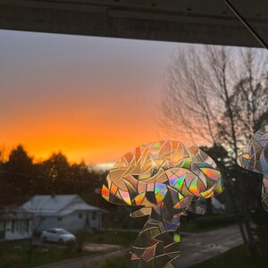 Pig Window Cling Sun Catcher Decals Rainbow Maker Sets - Etsy