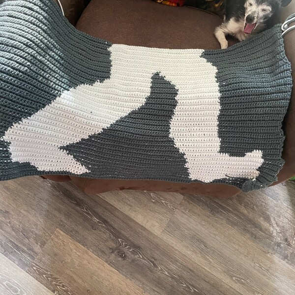 Crochet Pattern//2dino Silhouette// Single Crochet Tapestry//graph and ...