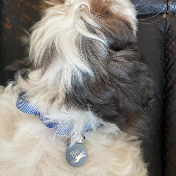 Laser Engraved Pet ID Tag -- Small Round (.75 INCH) W-tab Shape -- 2 ...