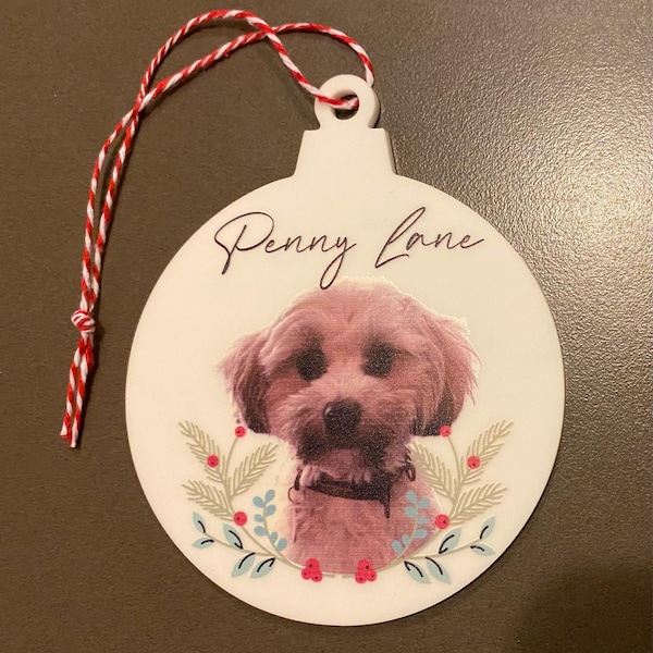 Bruce Springsteen | I'll Love You With All the Madness in My Soul ...