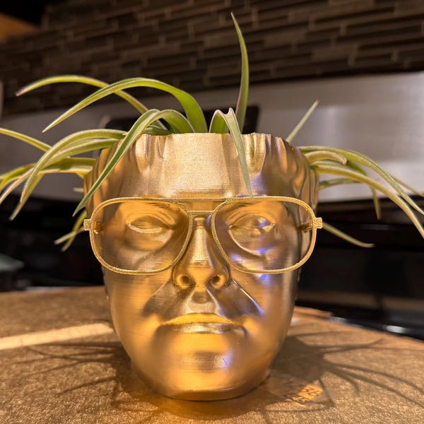 Nathan Fielder Head Planter – Custom Celebrity Face Pot, Quirky ...