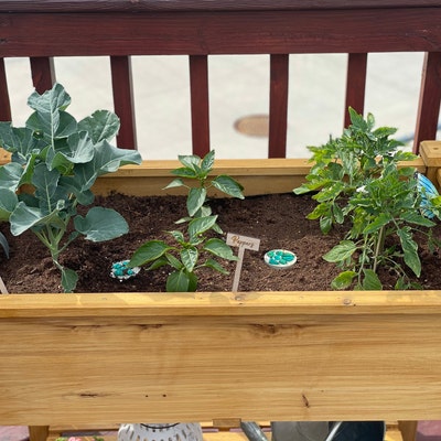 Set of Plant Markers Potted Plant Sign Herb Marker Plant Stake Wood ...