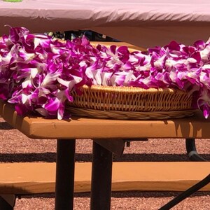Hawaiian Leis Graduation Pack Kukui Nut Lei Purple - Etsy