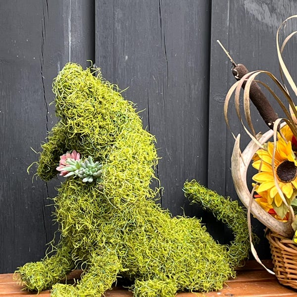 Boxer Topiary Frame - Etsy