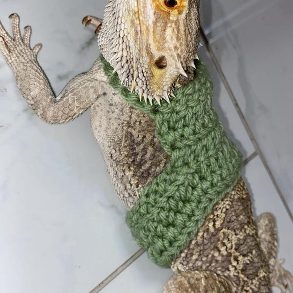 Bearded Dragon Candy Corn Costume Sweater, Halloween Lizard Sweater ...