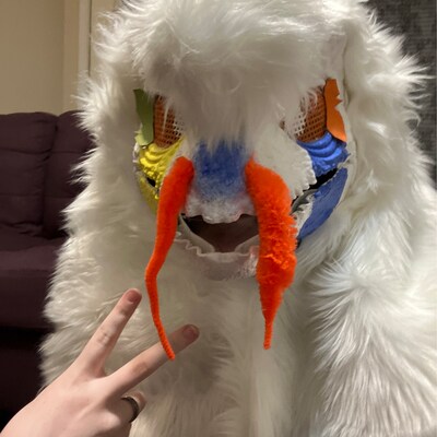 Star Apple Cat Mask - Etsy