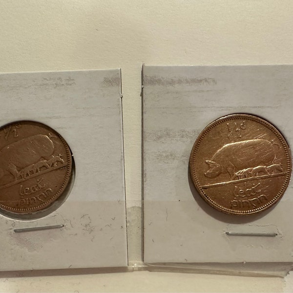 Irish 2P Two Pence Tuppence Coin With Bonus Coin FREE or Velvet Pouch ...