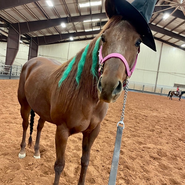 Design Your Own Mane Hair Extensions for Horses (perfect for Parties ...