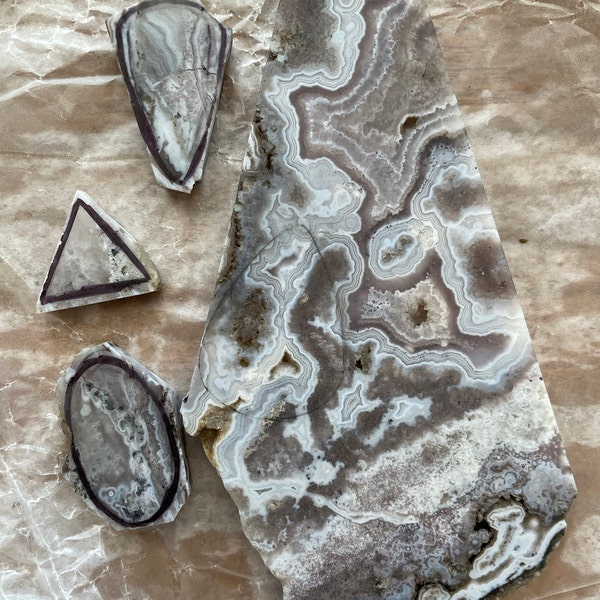 Polished Baculite Specimen With Suture Pattern From Colorado - Etsy