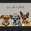 Custom Pet Portraits Using Pet Photo Personalized Digital Dog Portraits ...