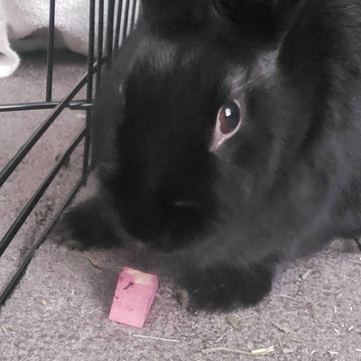 Tiny Flavored Balsa Triangles pkg of 20 Fruit Flavored Chew - Etsy