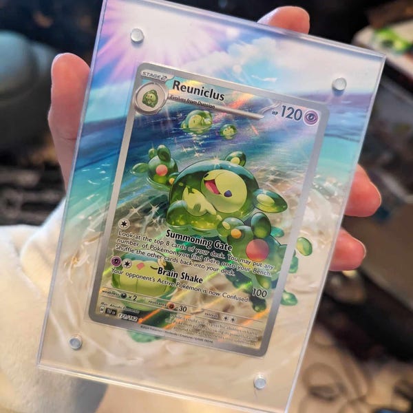Pokémon 151 Water Set Large Pokémon Card Extended Artwork Magnetic Case ...