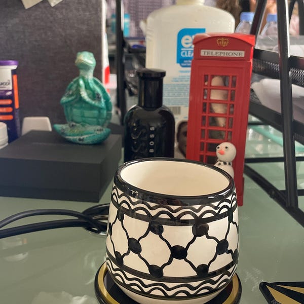 Medjool Dates From Palestine -jericho - Etsy