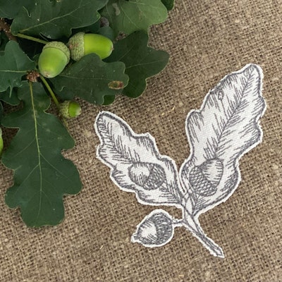 Acorns Machine Embroidery Design 3 SIZES, Autumn Acorns With Oak Leaves ...