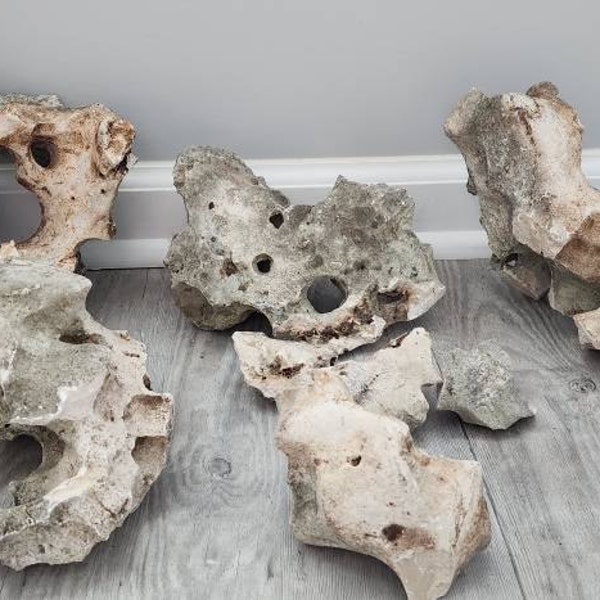 Texas Holey Rock Limestone Fish Aquarium Reptile Habitat Terrarium ...
