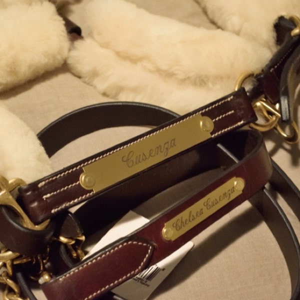 HALTER PLATE XLARGE .032" Solid Brass or .020" Nickel Silver Custom ...