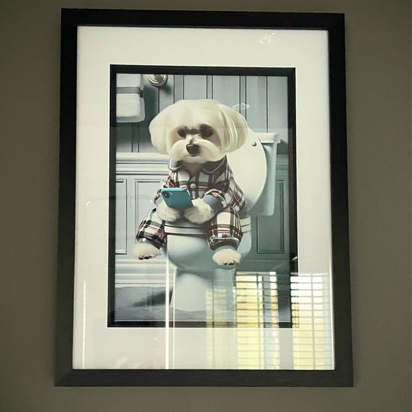 White Cream Cockapoo on Toilet Print Cockerpoo Sitting on Loo Funny Dog ...