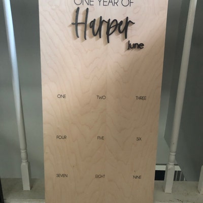 One Year of Baby First Birthday Sign First Birthday Display Milestones ...