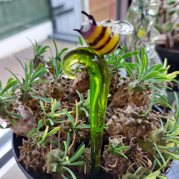 Large Glass Plant, Glass Flower, Glass Garden Art, Blown Garden, Glass ...