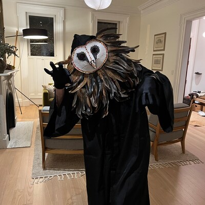 Barn Owl Masks for Halloween Costume, Creepy Adult Masquerade, Animal ...