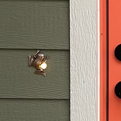 Frog Doorbell in Bronze - Etsy
