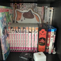 MANGA/ANIME Book Shelf Riser/organizer, Dvd/cd Organization/storage ...
