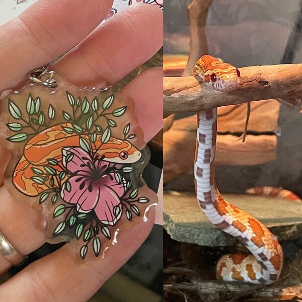 Crested Gecko Enclosure Sticker - Etsy