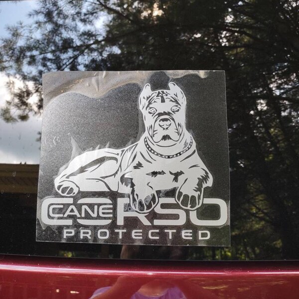 Cane Corso Protected Car Decal - Etsy