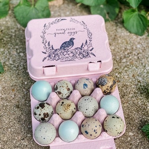 100 Vintage Chicken Egg Cartons - Etsy