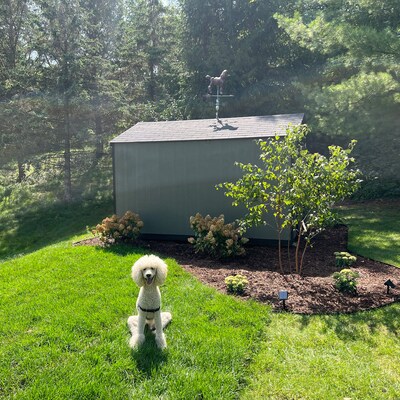 LARGE Handcrafted 3D 3-dimensional Sea Turtle Weathervane Copper Patina ...