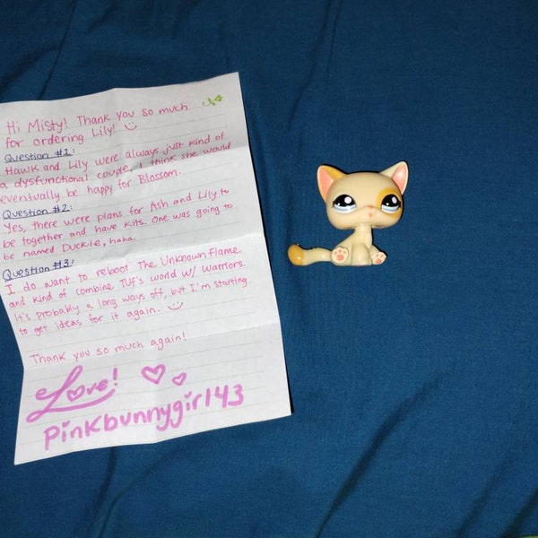 Longtail Warrior Cats LPS Clay Custom Full Sized Bobble Head Figure - Etsy