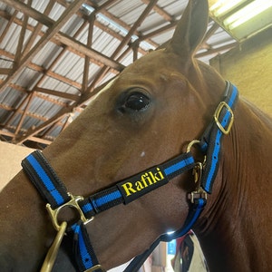 Embroidered Horse Halter Name Tag 1 Line - Etsy