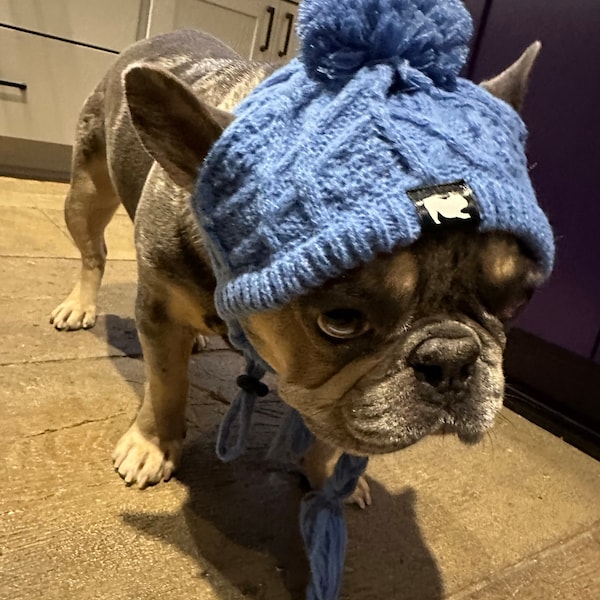 Fabulous Fido Dog Warm Sweater, French Bulldogs Winter Wool Clothes ...