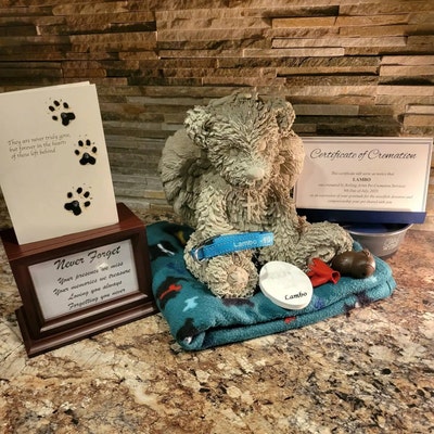 Painted Dragon Statue Garden Decor Cute Winking Dragon - Etsy