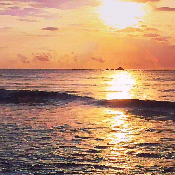 IPhone Wallpaper White Horse Beach Lock Screen Digital Art Download - Etsy