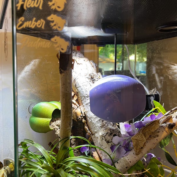 Bearded Dragon Candy Corn Costume Sweater, Halloween Lizard Sweater ...