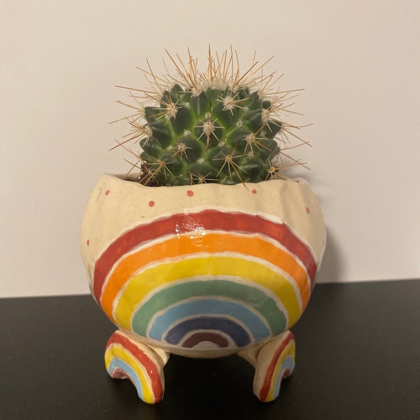 The Rainbow Pot Collection - Ceramic, Handmade Succulent Pot Cactus Pot ...