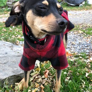 Lumberjack Small Breed Dog Coat Poncho - Etsy