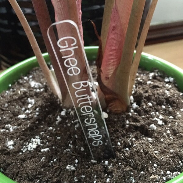 Custom Acrylic Garden Marker, Herb Stake, Plant Label - Etsy