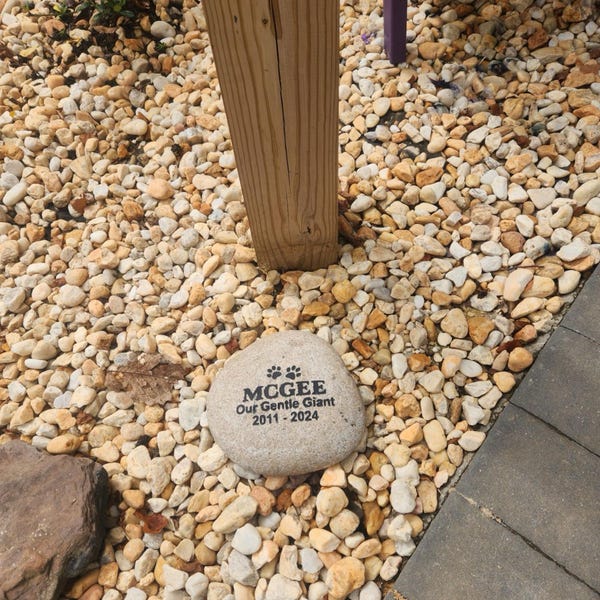 Family Tree Written in Stone Custom Carved River Rock Garden Decoration ...