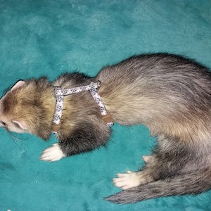 Ferret Harness Pastel Marble With Gold Studs - Etsy