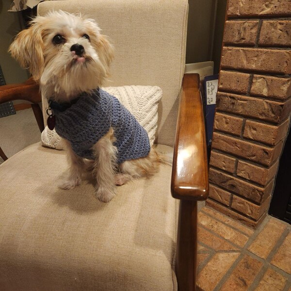 Ledger Sweater CROCHET Pattern - Beginner Friendly Sweater for Dogs in ...