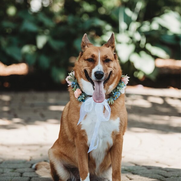 Purple Dog Wedding Flower Collar, Faux Greenery and Silk Flowers ...