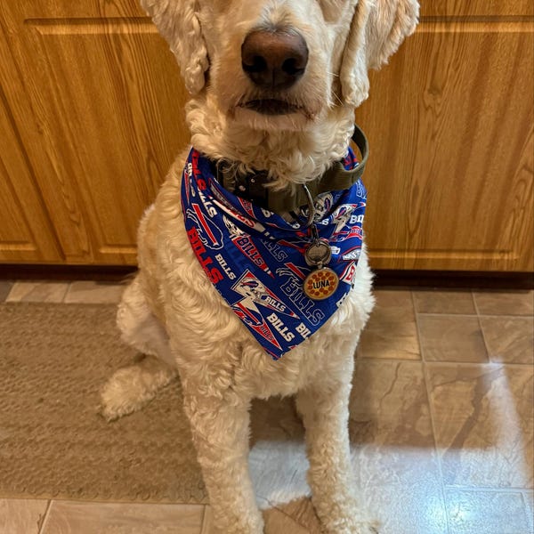 Pink Plaid With Ruffles Dog Bandana, Pretty Pink Pet Bandana, Plaid ...