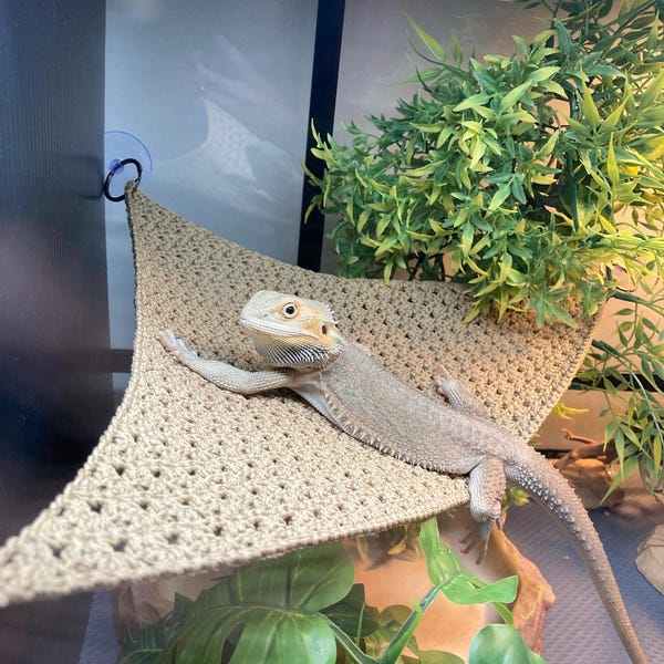 Reptile Corner Hammock: Basking Lounger for Bearded Dragons & Geckos - Etsy