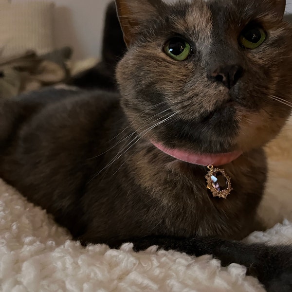 Princess Cat Collar. Rhinestone Cat Collar,pink Velvet Dog Collar ...