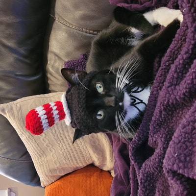 Alien Cat Costume - Etsy