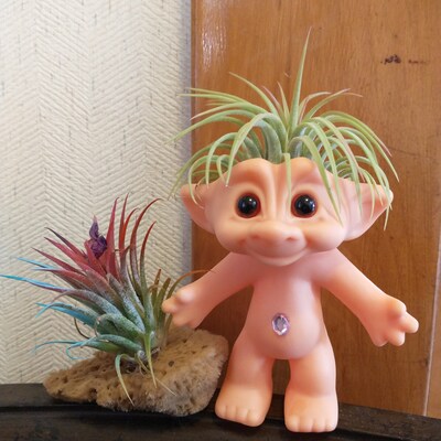 Rainbow Air Plant Troll Doll , Customize Air Plant Hair in Troll Doll ...