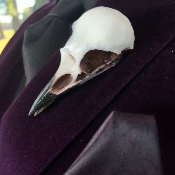 Crow Skull Pin - Replica Resin Bird Skull Brooch - Goth Victorian ...