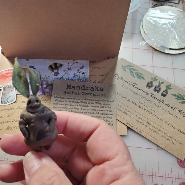 Adopt Your Own Mandrake // Mandrake Charms, Talisman, Creature ...